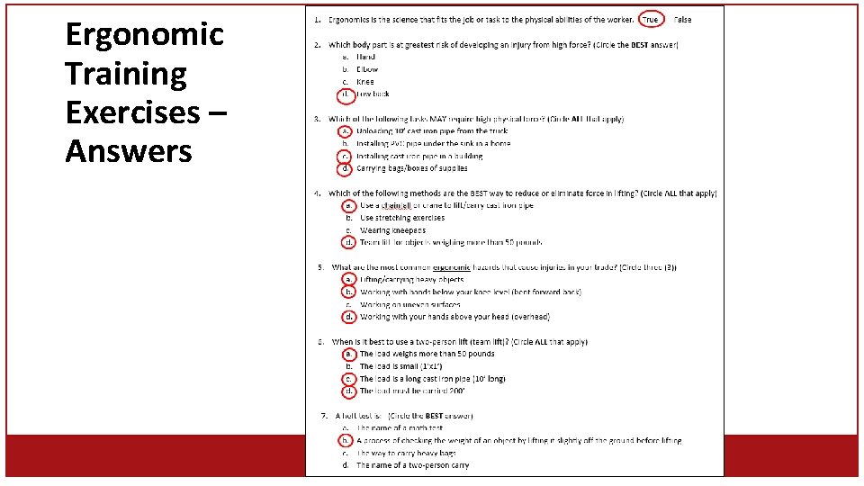 Ergonomics Basics Reducing the Risks for Soft Tissue