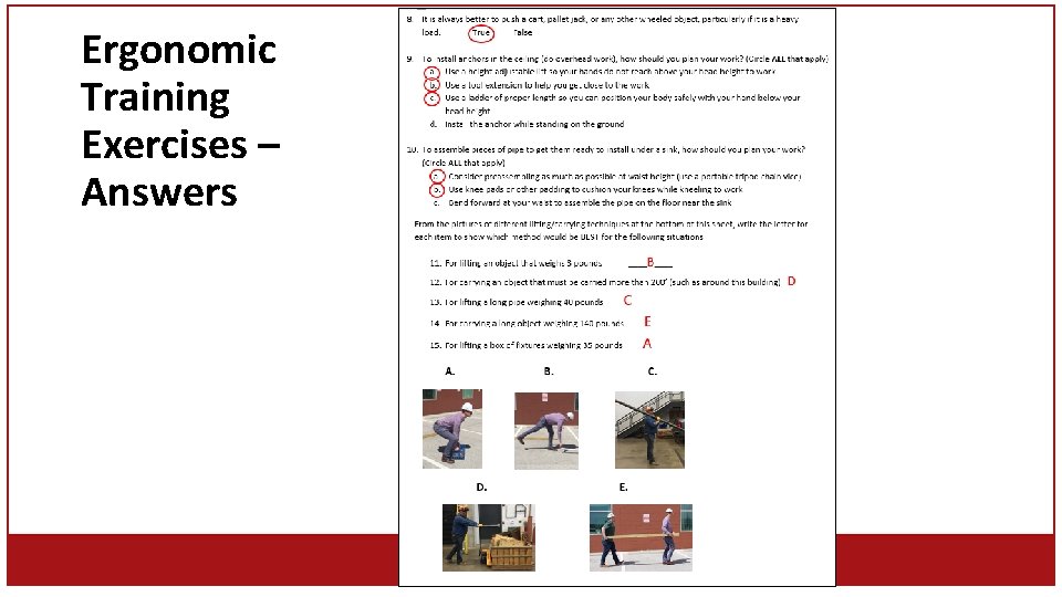 Ergonomics Basics Reducing the Risks for Soft Tissue