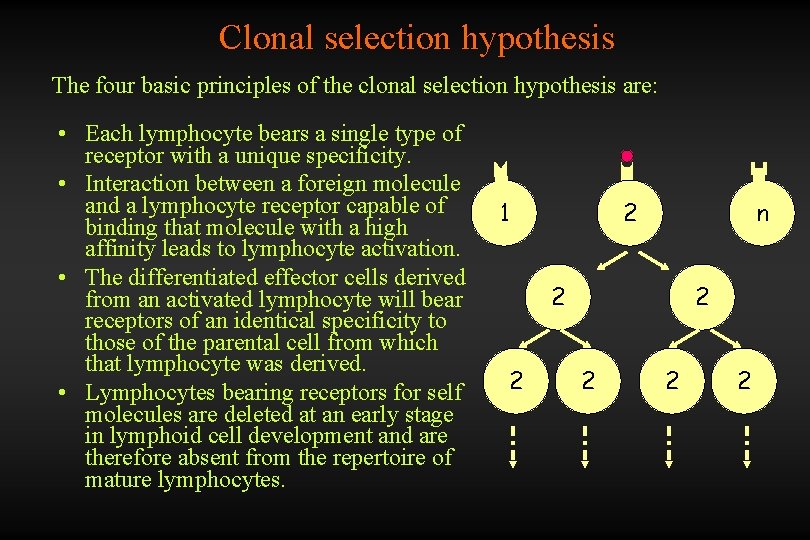 Theoretical basis for immunological specificity and memory Theory