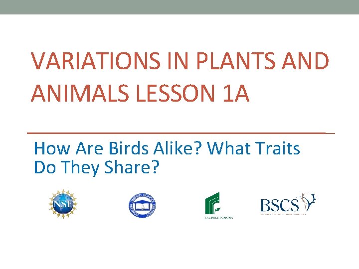 VARIATIONS IN PLANTS AND ANIMALS LESSON 1 A