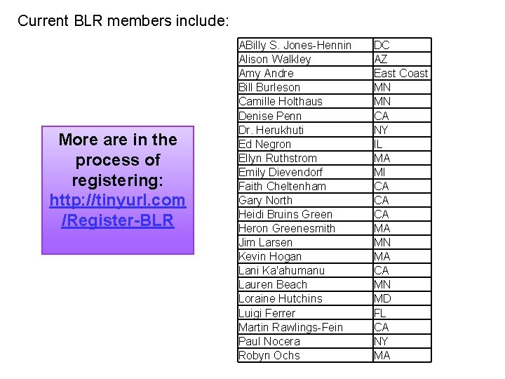 Bisexual Leaders Roundtable BLR Organizational Documentation Flow Charts
