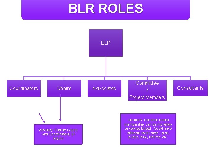 Bisexual Leaders Roundtable BLR Organizational Documentation Flow Charts