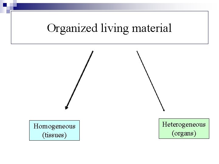 Introduction to Plant Tissue Culture In vitro culture