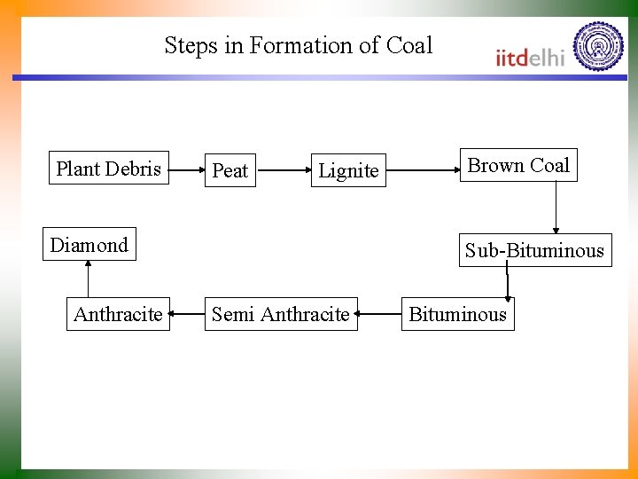Steps in Formation of Coal Plant Debris Peat