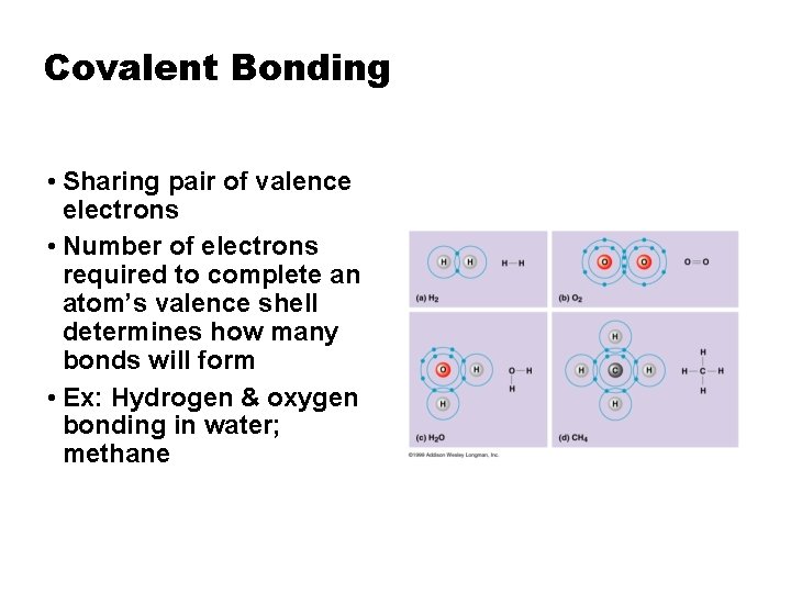 Biochemistry Unit 3 Day 1 Unit 3 Introduction