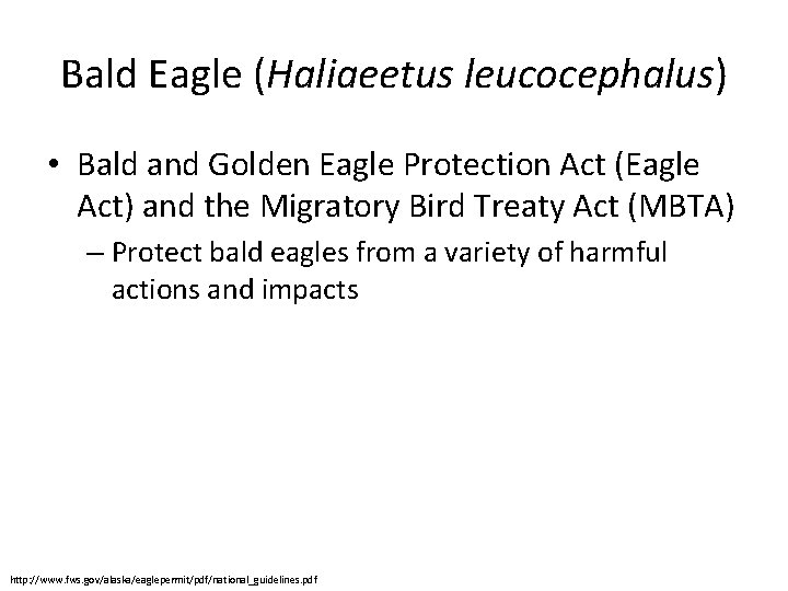 Exploring the population dynamics of wintering bald eagles