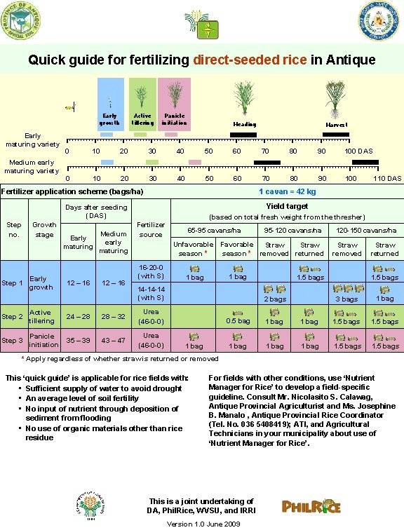 Quick guide for fertilizing directseeded rice in Antique