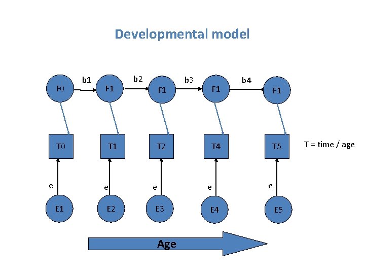 Development longitudinal repeated measures time series not crosssectional