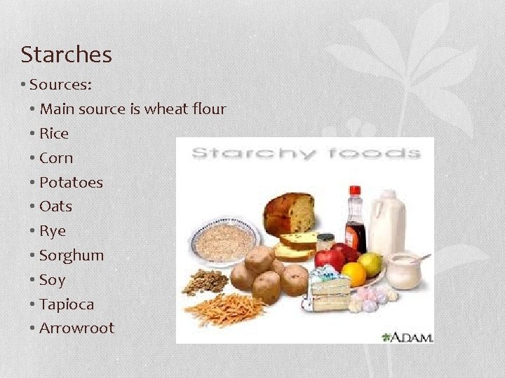 THE COMPLEX CARBOHYDRATES STARCHES CELLULOSE GUMS AND PECTINS