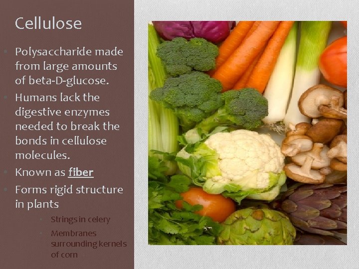 THE COMPLEX CARBOHYDRATES STARCHES CELLULOSE GUMS AND PECTINS