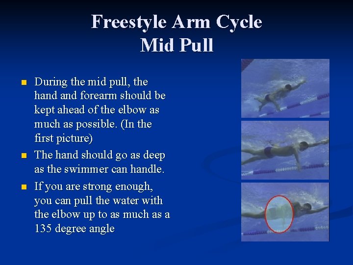 SKY SWIMMING STROKE DEVELOPMENT TRAINING Freestyle Arm Cycle