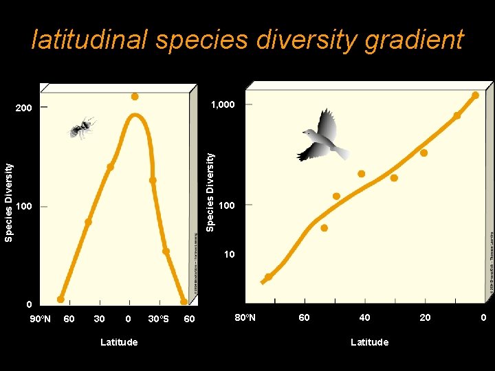 Chapter 8 Community Ecology Structure Species Interactions Succession