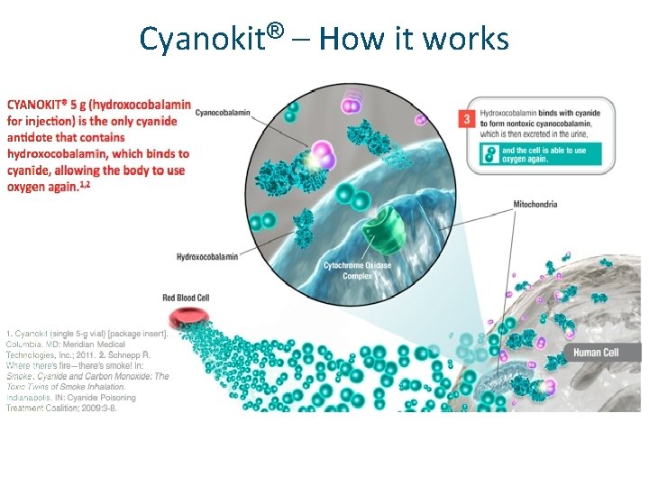 Smoke Inhalation and Management Jeremy T Cushman MD