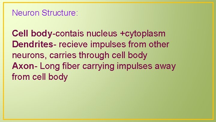Big Idea How does the structure of the