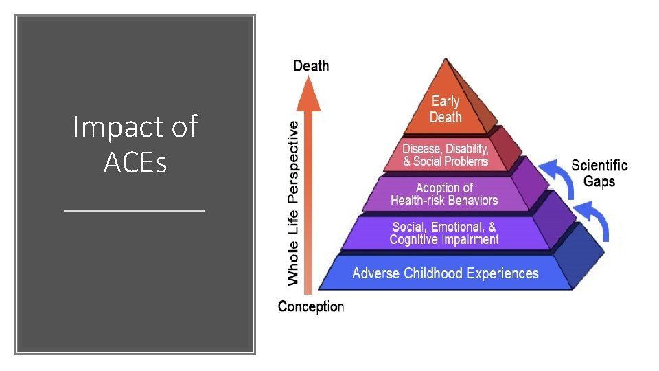 Trauma Informed Practice Johnson County Bench Bar Conference