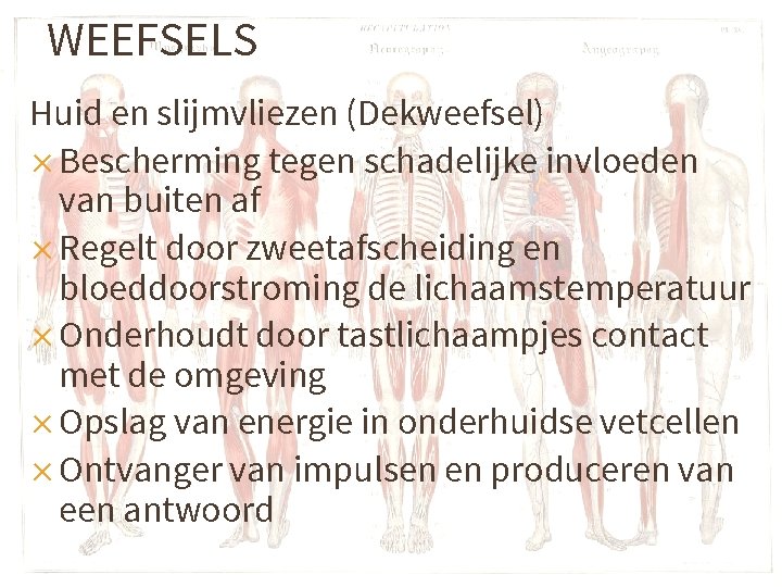 ANATOMIE FYSIOLOGIE PATHOLOGIE Cellen en Weefsels INHOUD LES