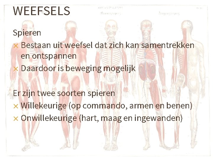 ANATOMIE FYSIOLOGIE PATHOLOGIE Cellen en Weefsels INHOUD LES