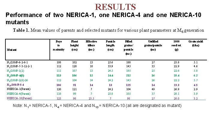 High Yielding NERICA Mutant Rice for Upland Areas