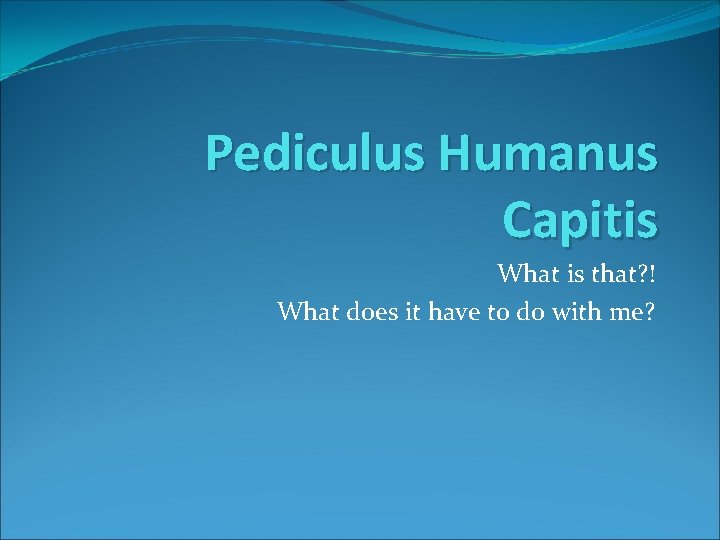 Pediculus Humanus Capitis What is that What does
