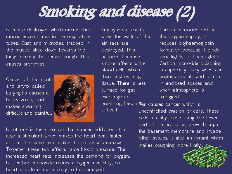 RESPIRATORY SYSTEM By Arturo Cruzat Glossary 1 The