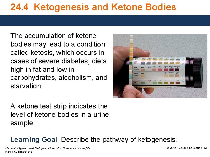 24 4 Ketogenesis and Ketone Bodies The accumulation