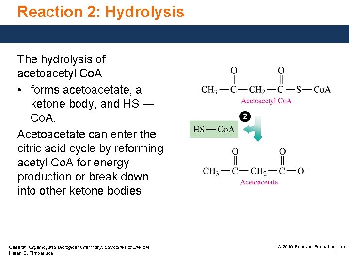 24 4 Ketogenesis and Ketone Bodies The accumulation