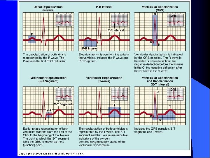 Mechanical and Electrical Events of the Cardiac Cycle