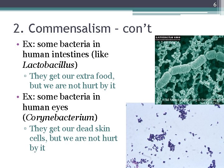 1 Microorganisms in Ecosystems 2 Microorganisms in Ecosystems