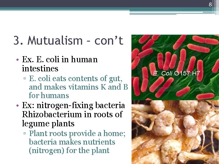 1 Microorganisms in Ecosystems 2 Microorganisms in Ecosystems