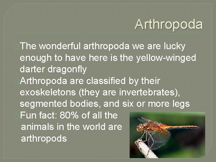 The EPIC Zoo By Eric Guldan Honors Biology