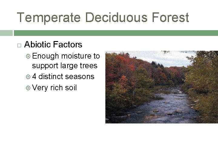 BIOMES How are Biomes Determined What makes a