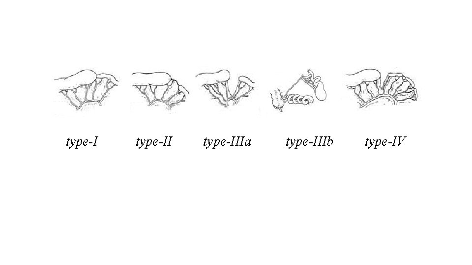 PEDIATRIC SURGERY2018 2 No Attendance Obligatory Type of