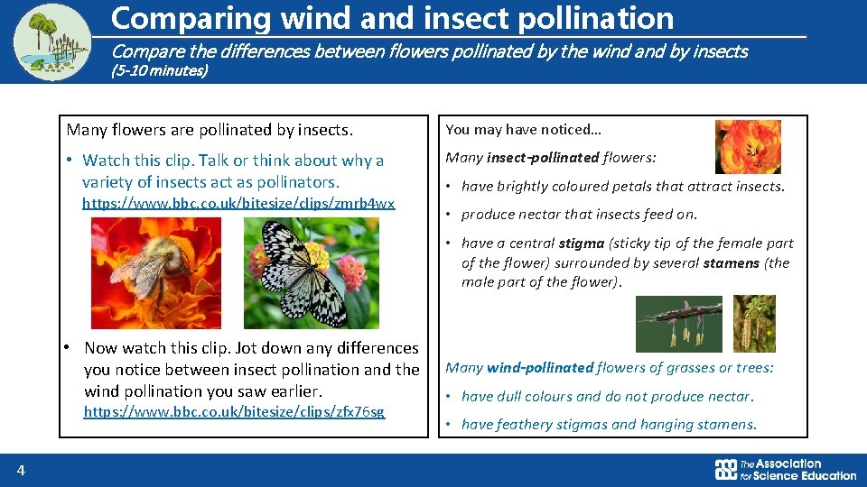 Living things and their habitats Pollination in flowering