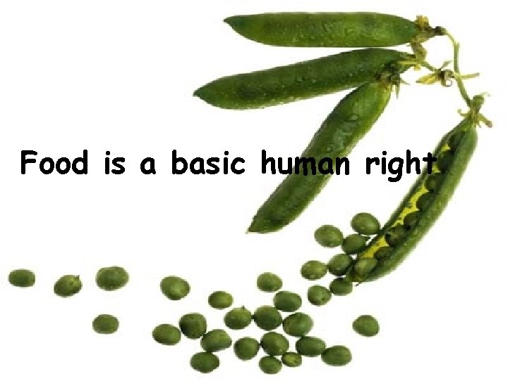 The Right to Food By Sahira Copenhaver and