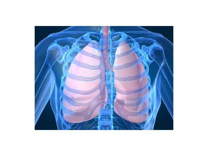 Chapter 14 Respiration and Circulation Lesson 1 Respiration