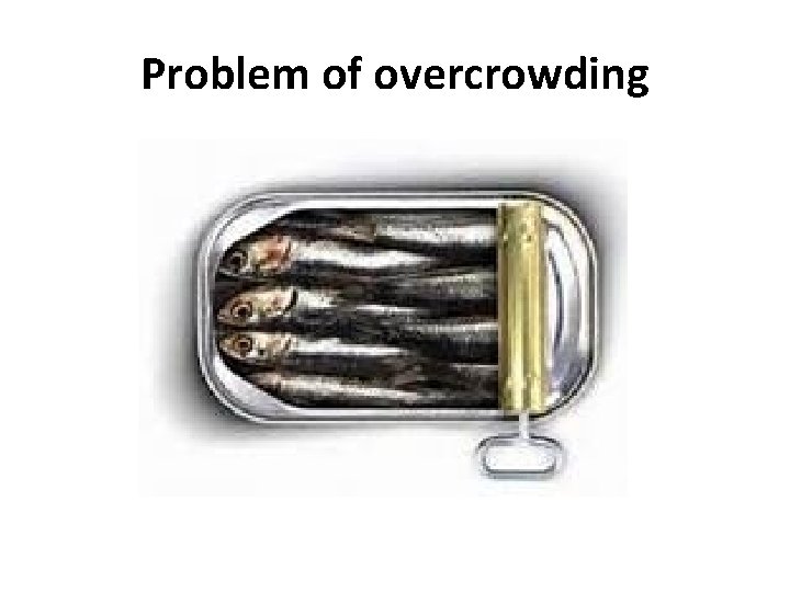 Innovation in masterplanning Problem of overcrowding Negative impact