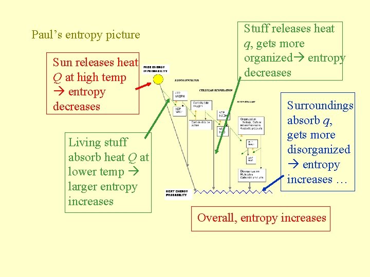 Boltzmann Shannon and Missing Information Second Law of