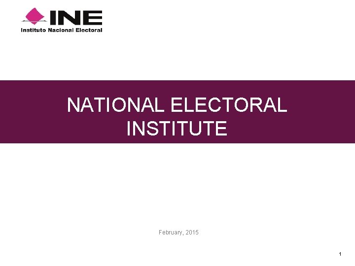 NATIONAL ELECTORAL INSTITUTE FEDERAL REGISTRATION OF VOTERS February