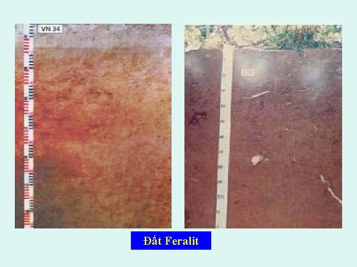 Tit 42 Bi 36 I C iM CHUNG