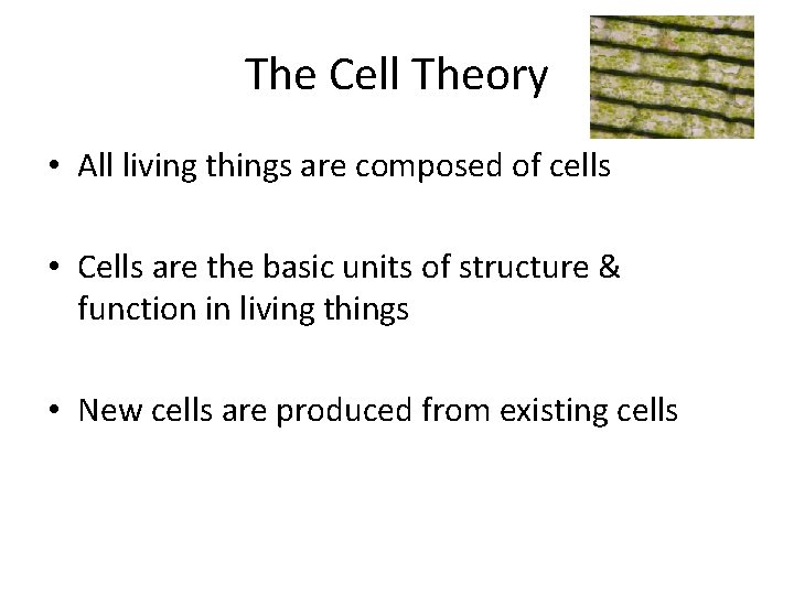 Eukaryotic Cell Structure Function Figure 7 5 Plant