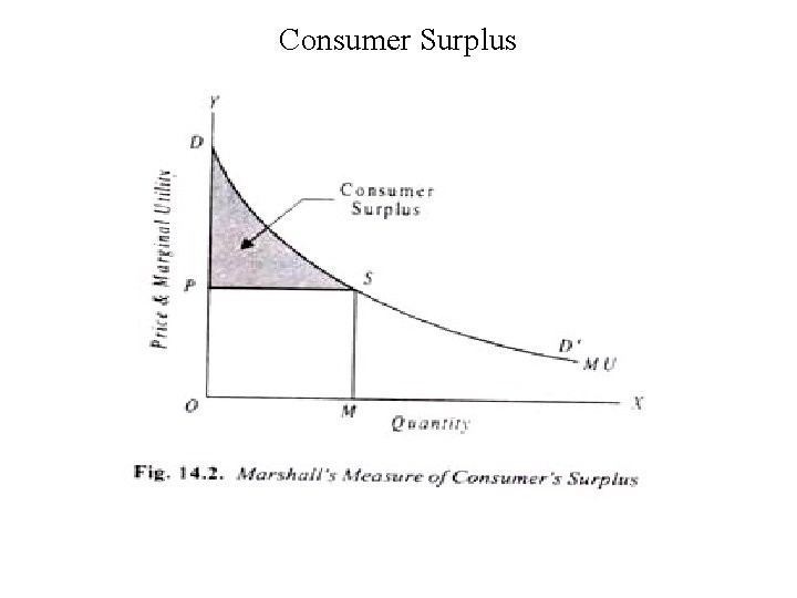 Consumer Surplus The concept of consumer surplus CS