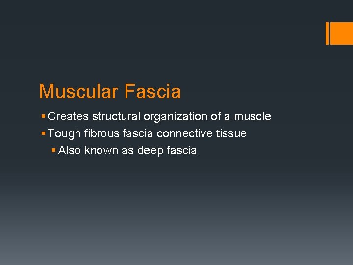 Muscular Fascia Kailey H Colleen Melanie Muscular Fascia