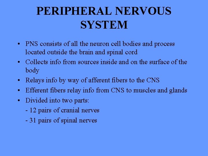 HUMAN ANATOMY LECTURE TWELVE PERIPHERAL NERVOUS SYSTEM PERIPHERAL
