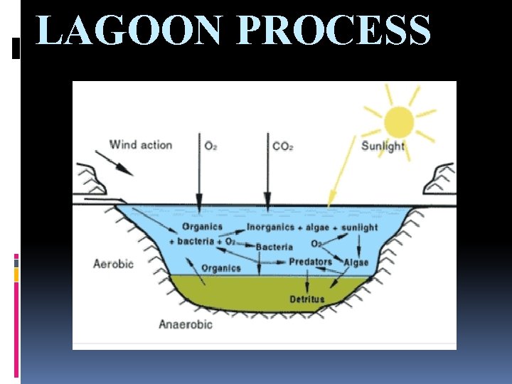 BIOLOGICAL TREATMENTS OF WASTE WATER BIOLOGICAL TREATMENTS Some