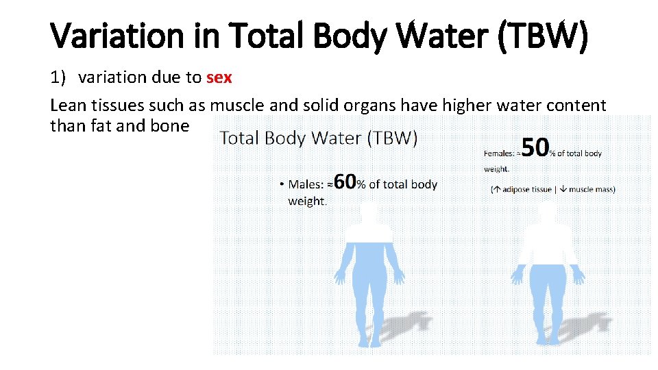 Fluid and Electrolytes By Rand AlShayeb Total body