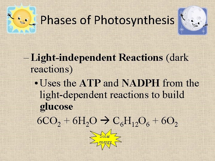 Photosynthesis Trapping the Suns Energy The process by