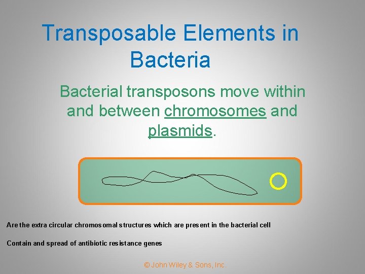 Chapter 17 Transposable Genetic Elements John Wiley Sons