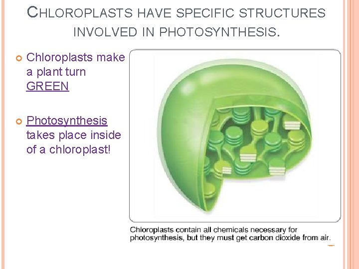 Welcome to Biology NOTES http tinyurl comSP 16