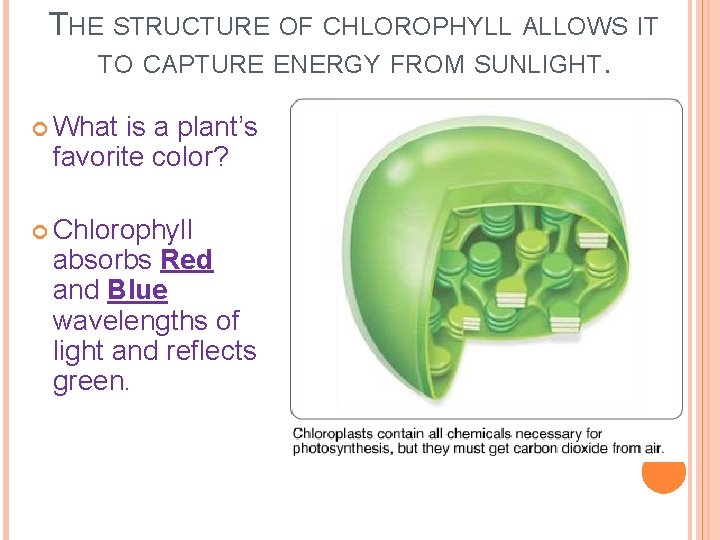 Welcome to Biology NOTES http tinyurl comSP 16