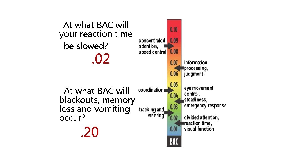 Standard drink sizes WHAT IS BAC Blood Alcohol